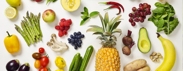 Dietetics | The Major Experience